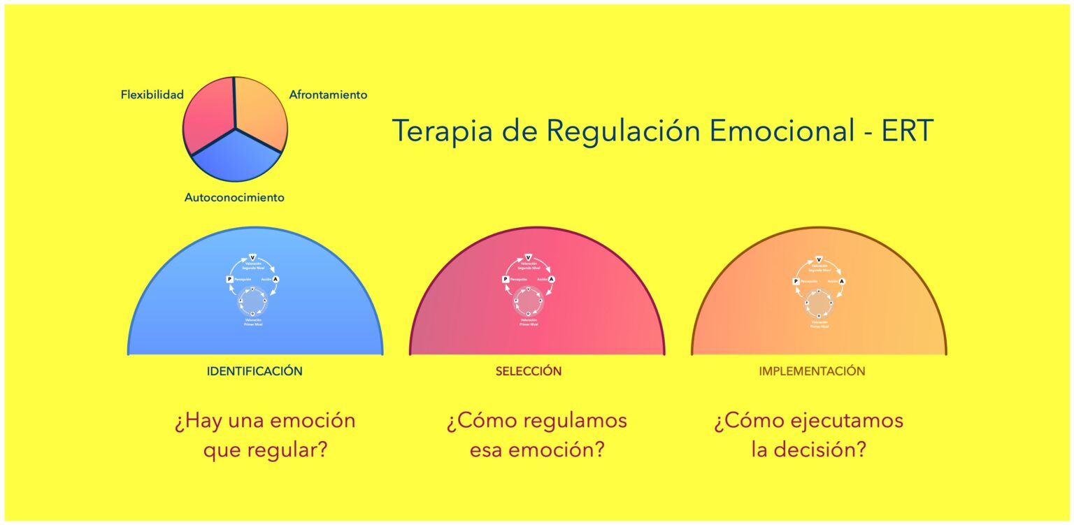 ¿Cuál es el objetivo de la Terapia de Regulación Emocional? - Sociedad ...